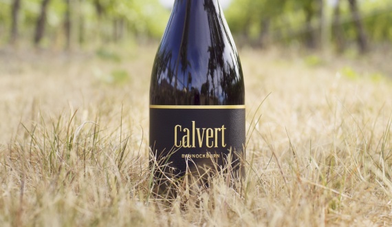 A life of contrasting experiences - Calvert Vineyard
