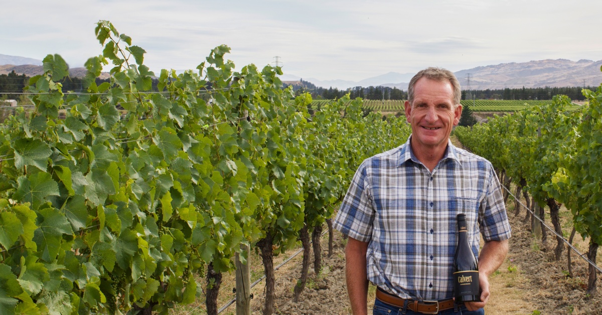 A life of contrasting experiences - Calvert Vineyard